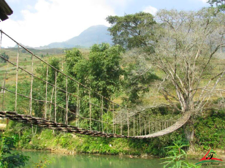 Ta Van Rattan Bridge (Cau May): The simple bridge is famous just ...