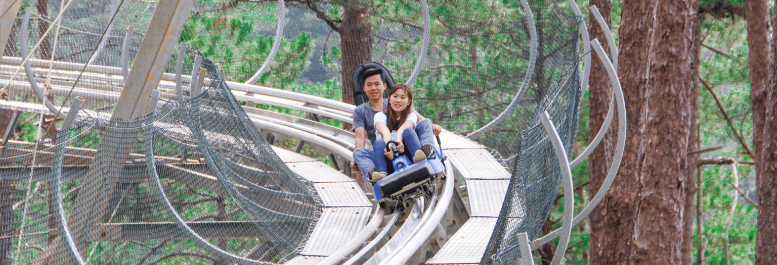 Datanla Waterfall in Dalat, Vietnam: A Complete Guide to an Exciting ...