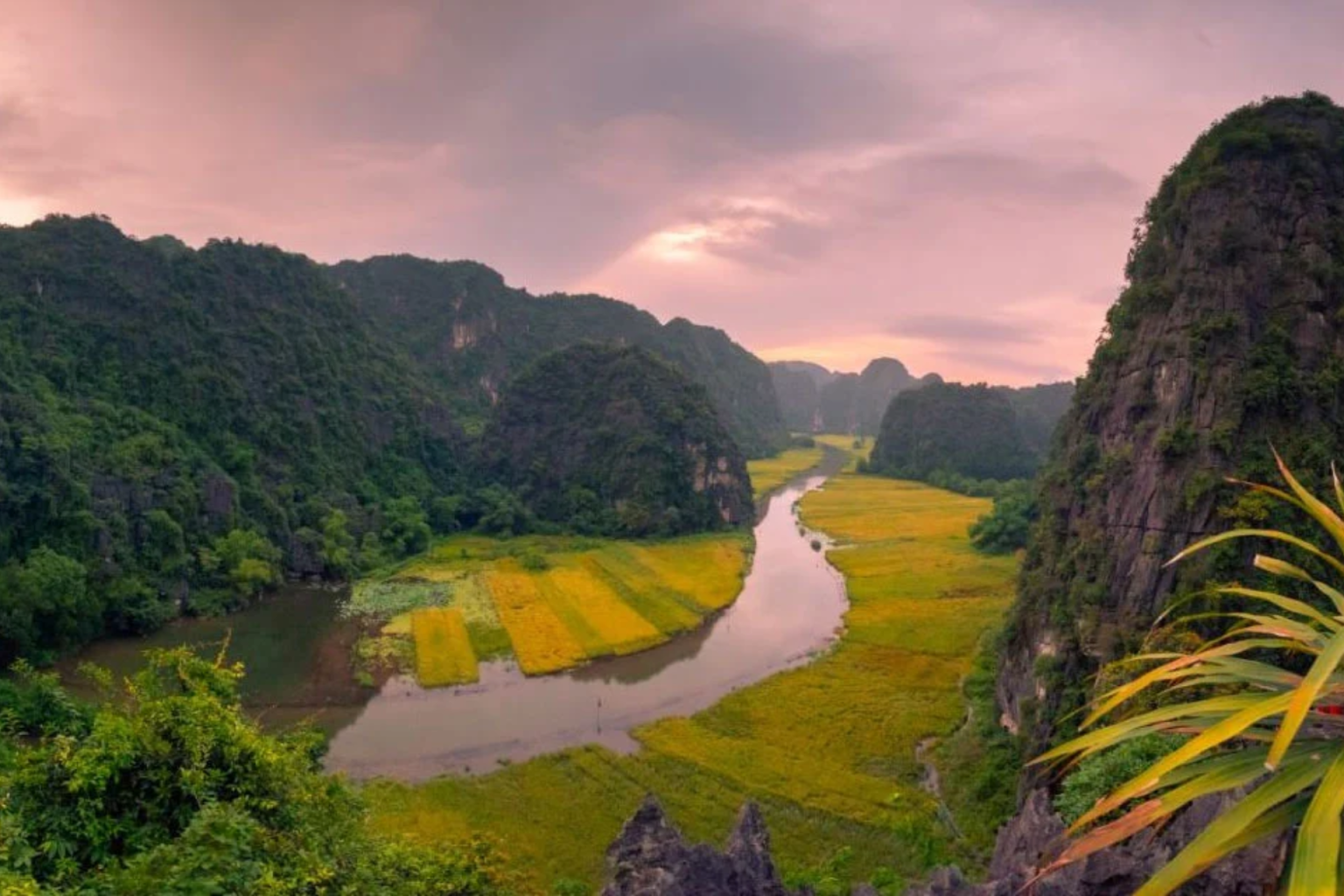 Lily's Package Tour - Lily's Travel Agency