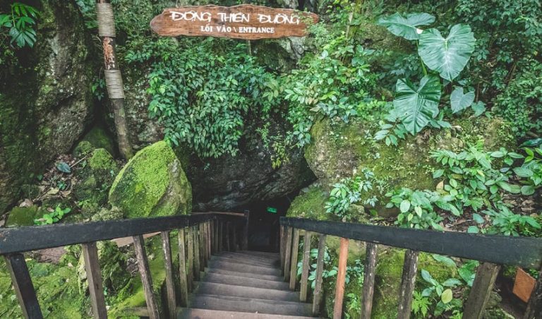Discover Paradise Cave: Your guide to Vietnam's stunning underground world