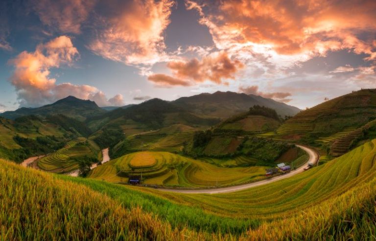 Mu Cang Chai rice field travel guide for first-timers